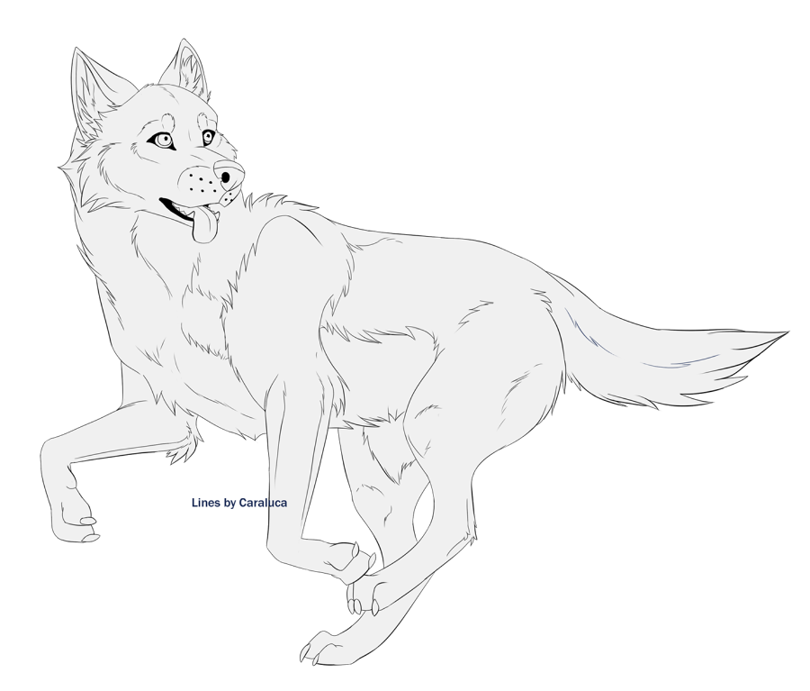 Free To Use Psd Wolf Base By Caraluca On Deviantart