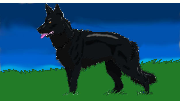 Equinox by GDAmericanIdiot2 on DeviantArt