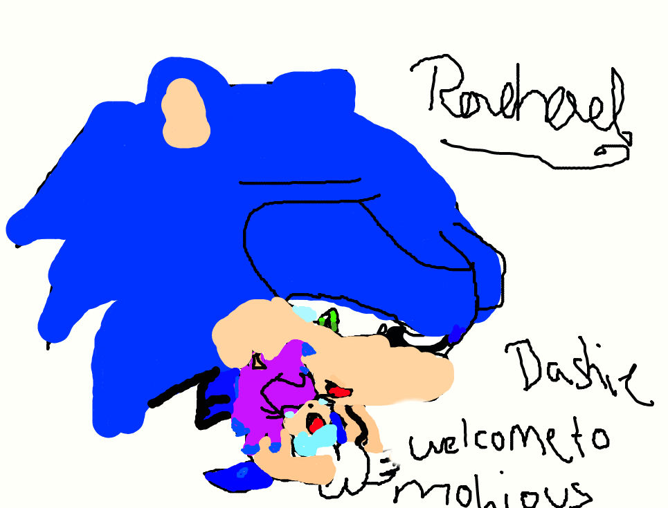 Welcome the new baby girl Dashie by RachaelThehedgie on DeviantArt