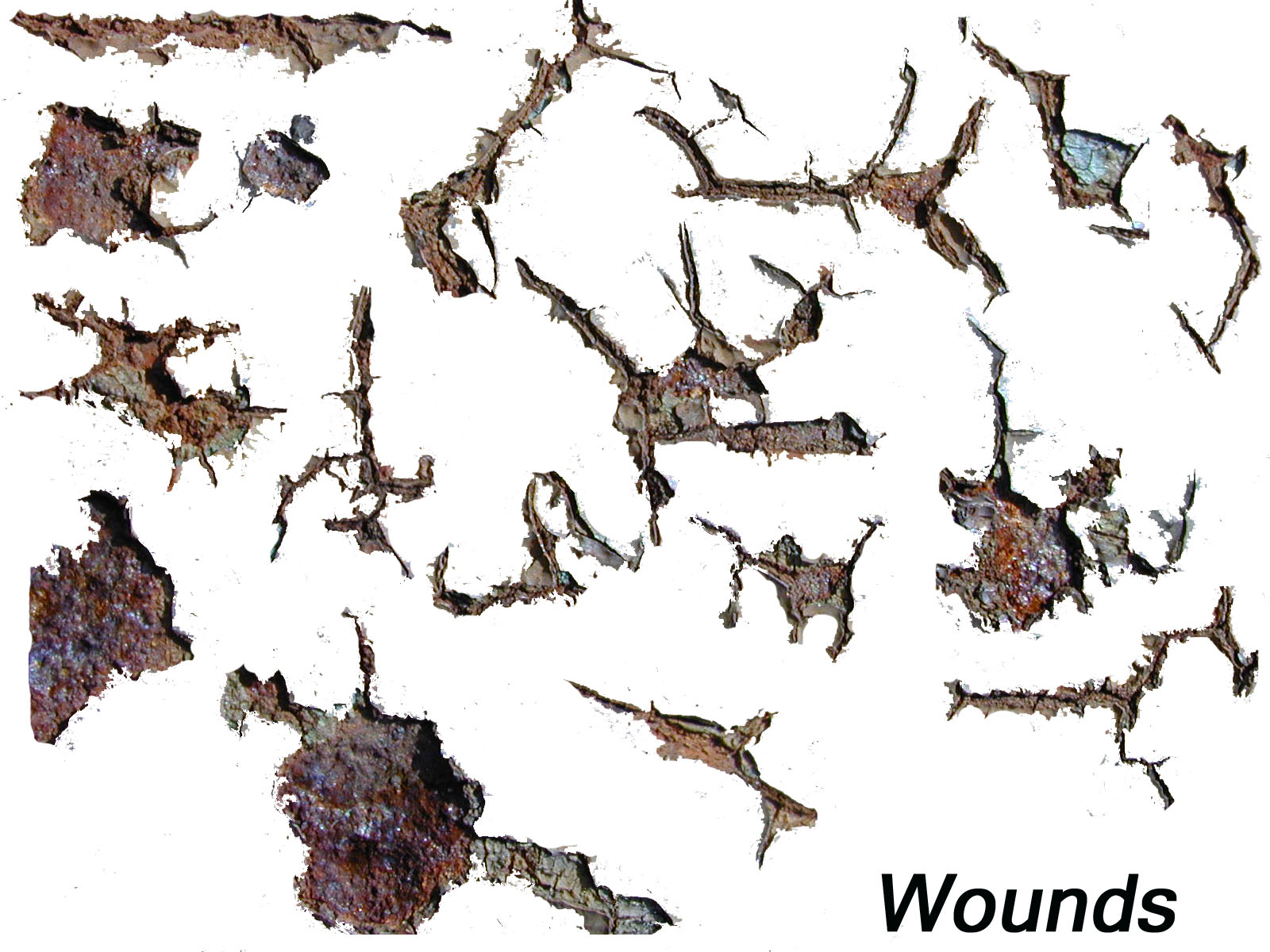 Wounds - transparent gifs by DeviantNepStock on DeviantArt