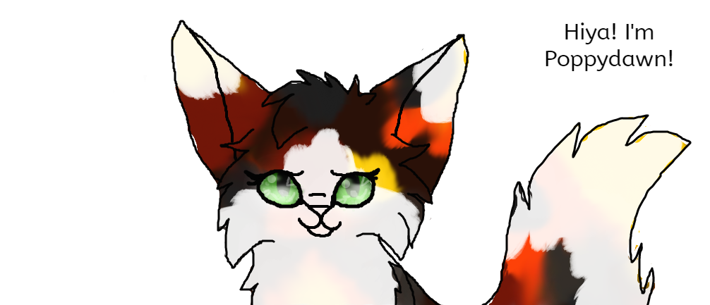 Poppydawn by Hazelfeather37 on DeviantArt