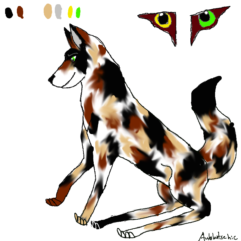 Calico Wolf Ref by Autobotschic on DeviantArt