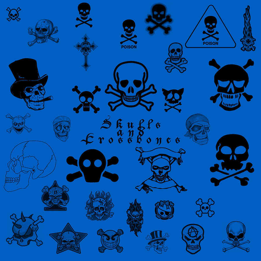 Skull and Crossbones Brush Set by seraphshaw on DeviantArt