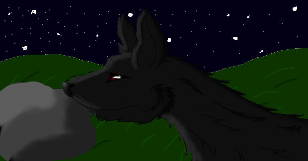 Gale Hikigura the Wolf by killer771 on DeviantArt