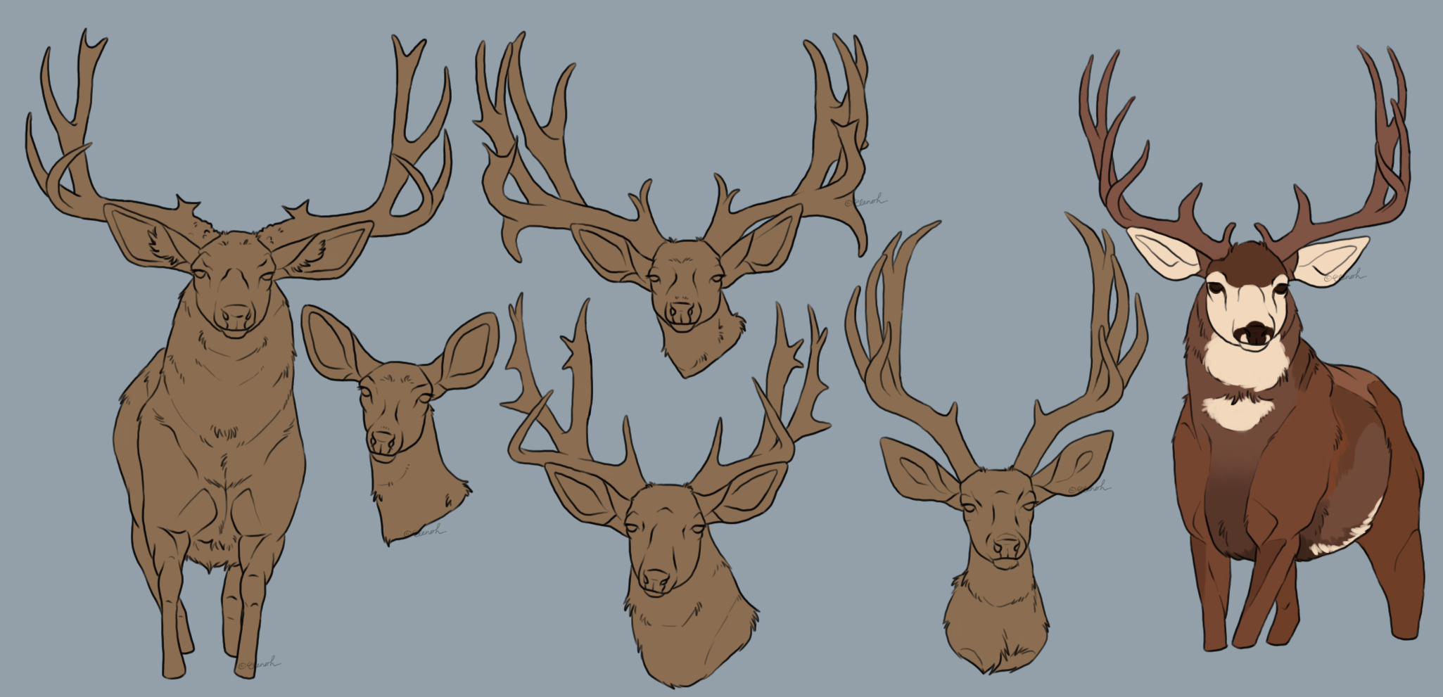 F2U Mule deer base by Elenoh on DeviantArt