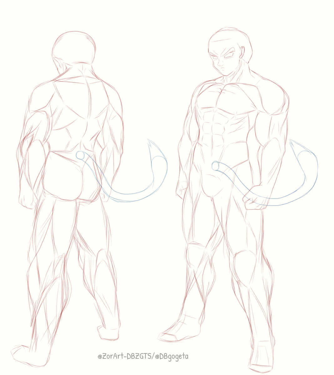 Male Drawing Reference by ZorArt-DBZGTS on DeviantArt