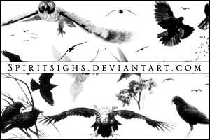 Birds 3 by spiritsighs-stock on DeviantArt
