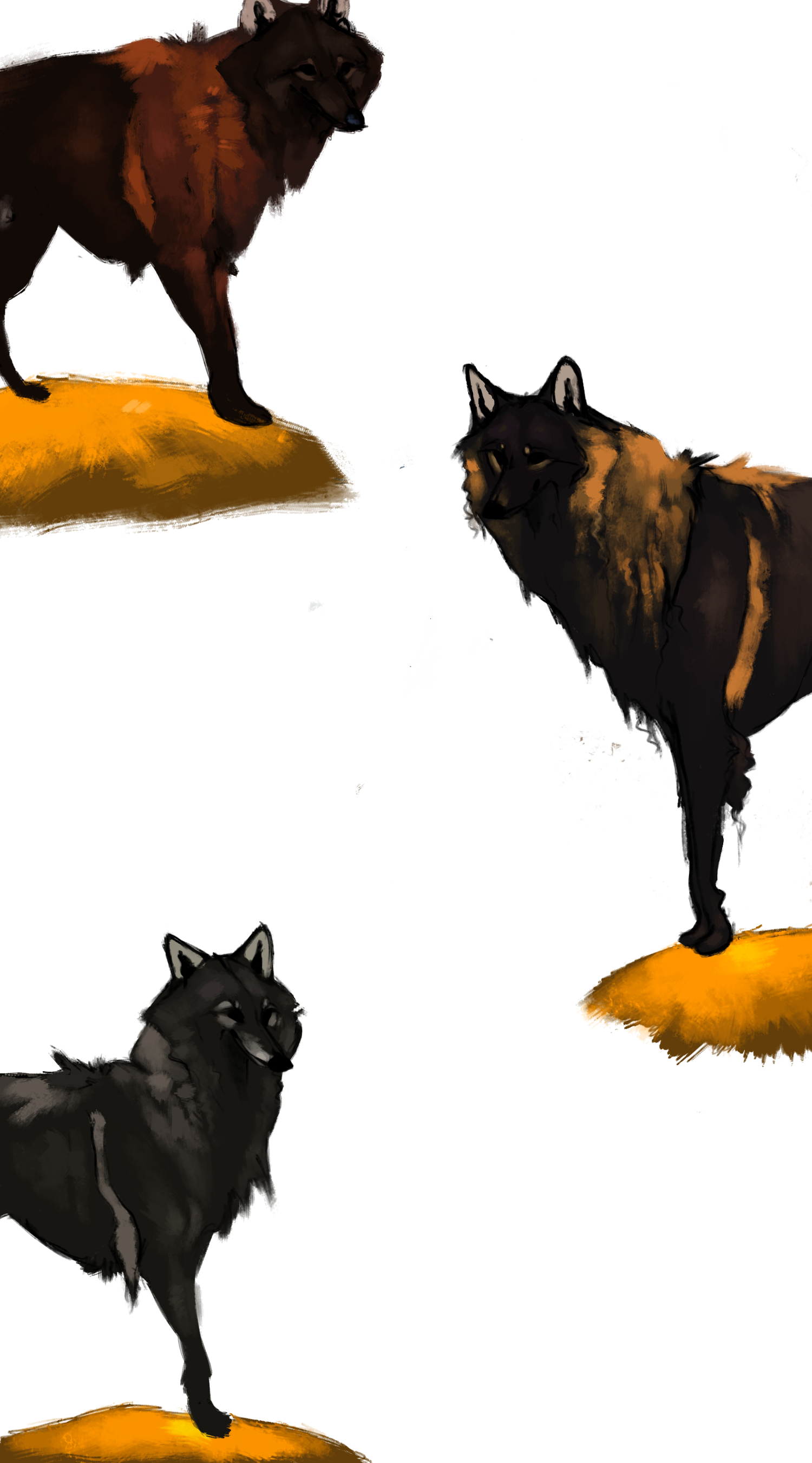 Black Phase 2 by MugWolff on DeviantArt