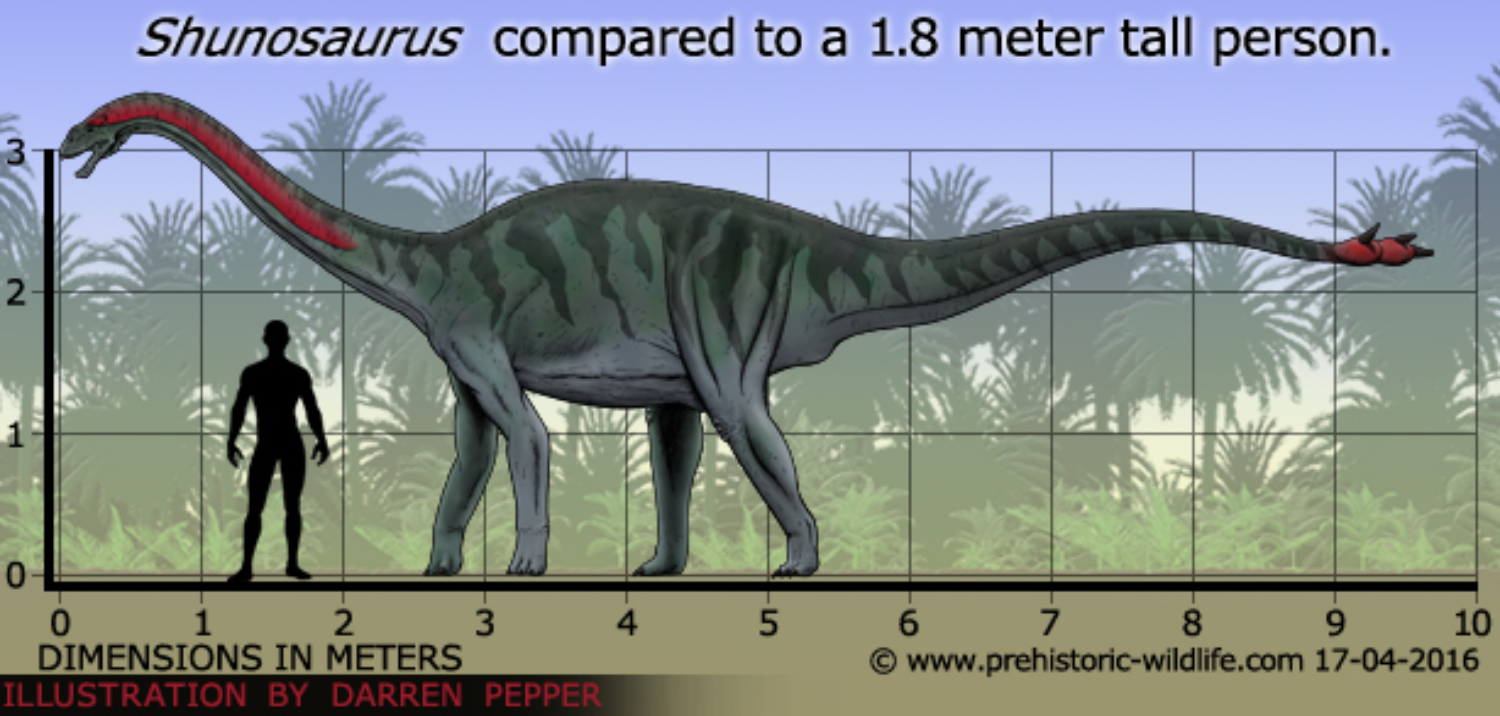 Shunosaurus size by Frylock921 on DeviantArt