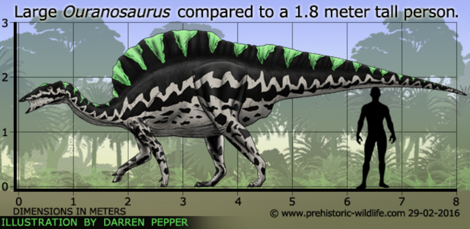 Ouranosaurus size by Frylock921 on DeviantArt