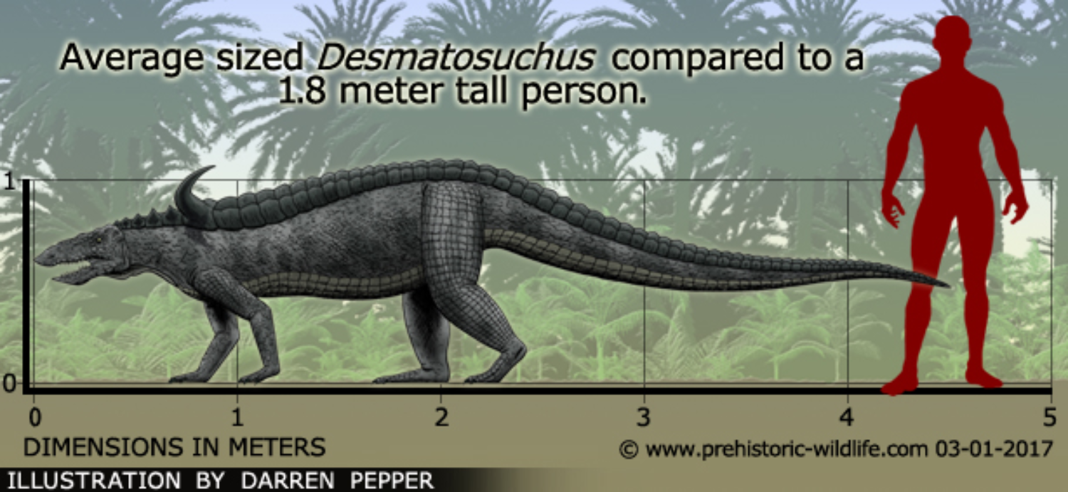 Desmatosuchus size by Frylock921 on DeviantArt