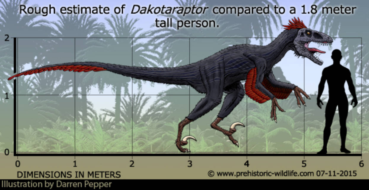 Dakotaraptor size by Frylock921 on DeviantArt