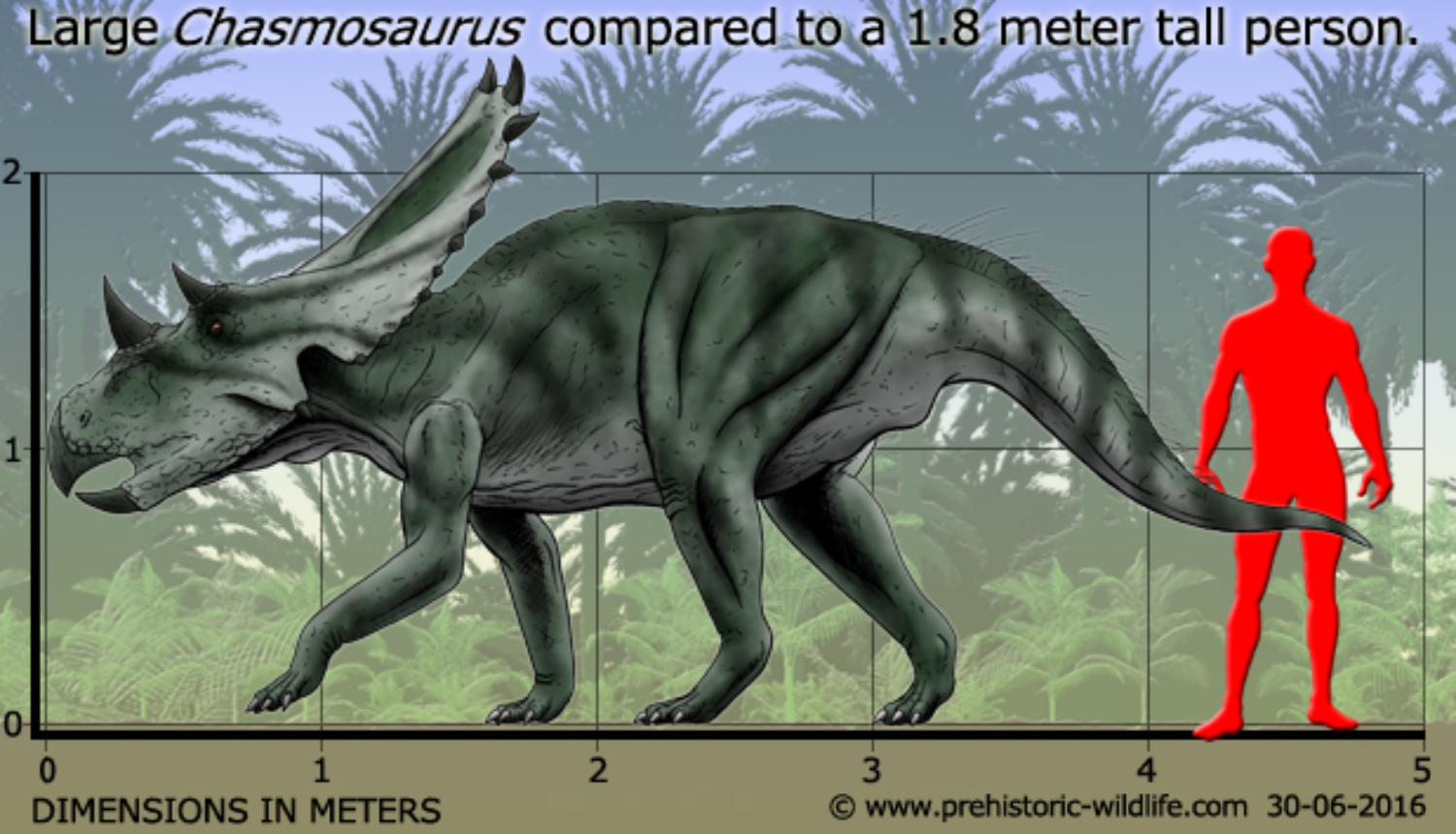 Chasmosaurus size by Frylock921 on DeviantArt