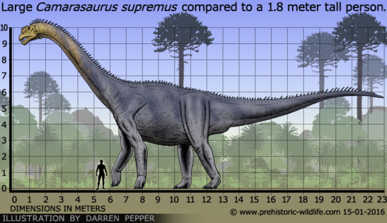 Camarasaurus size by Frylock921 on DeviantArt