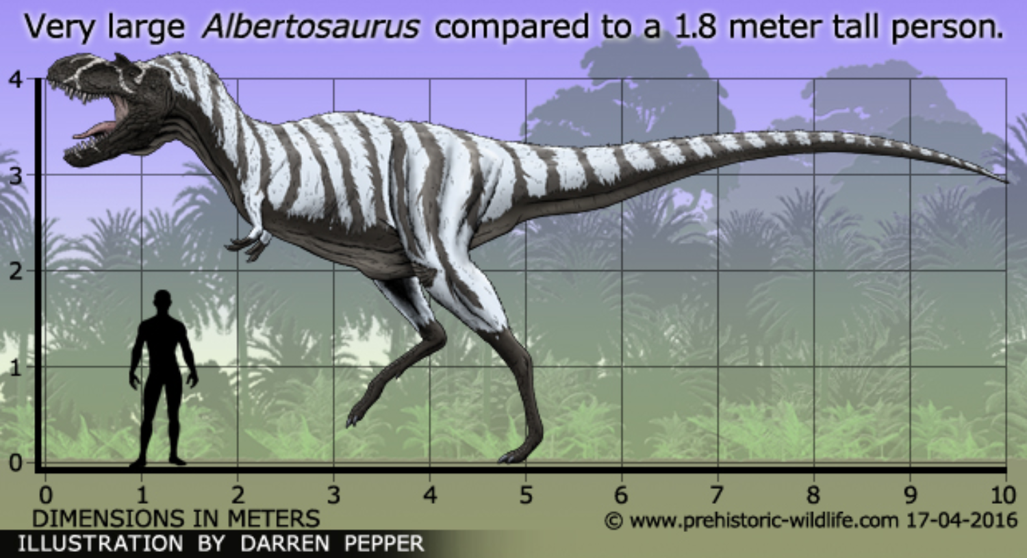 Albertosaurus size by Frylock921 on DeviantArt