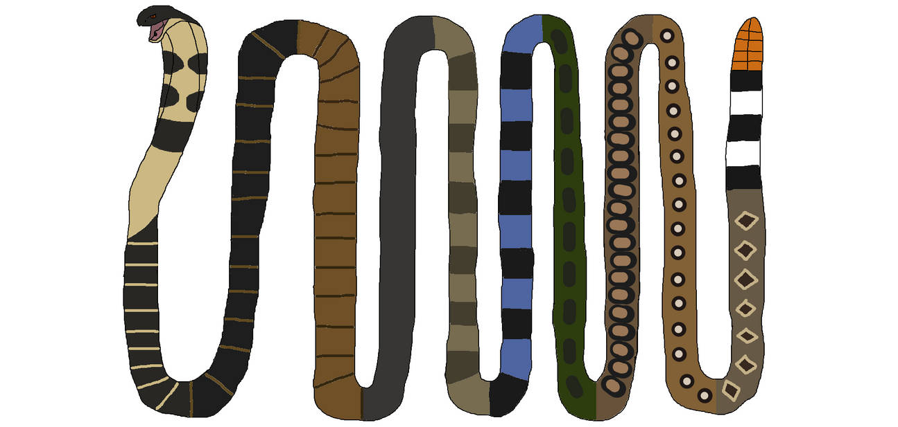 AP: Most Extreme Deadly Snakes by Frylock921 on DeviantArt