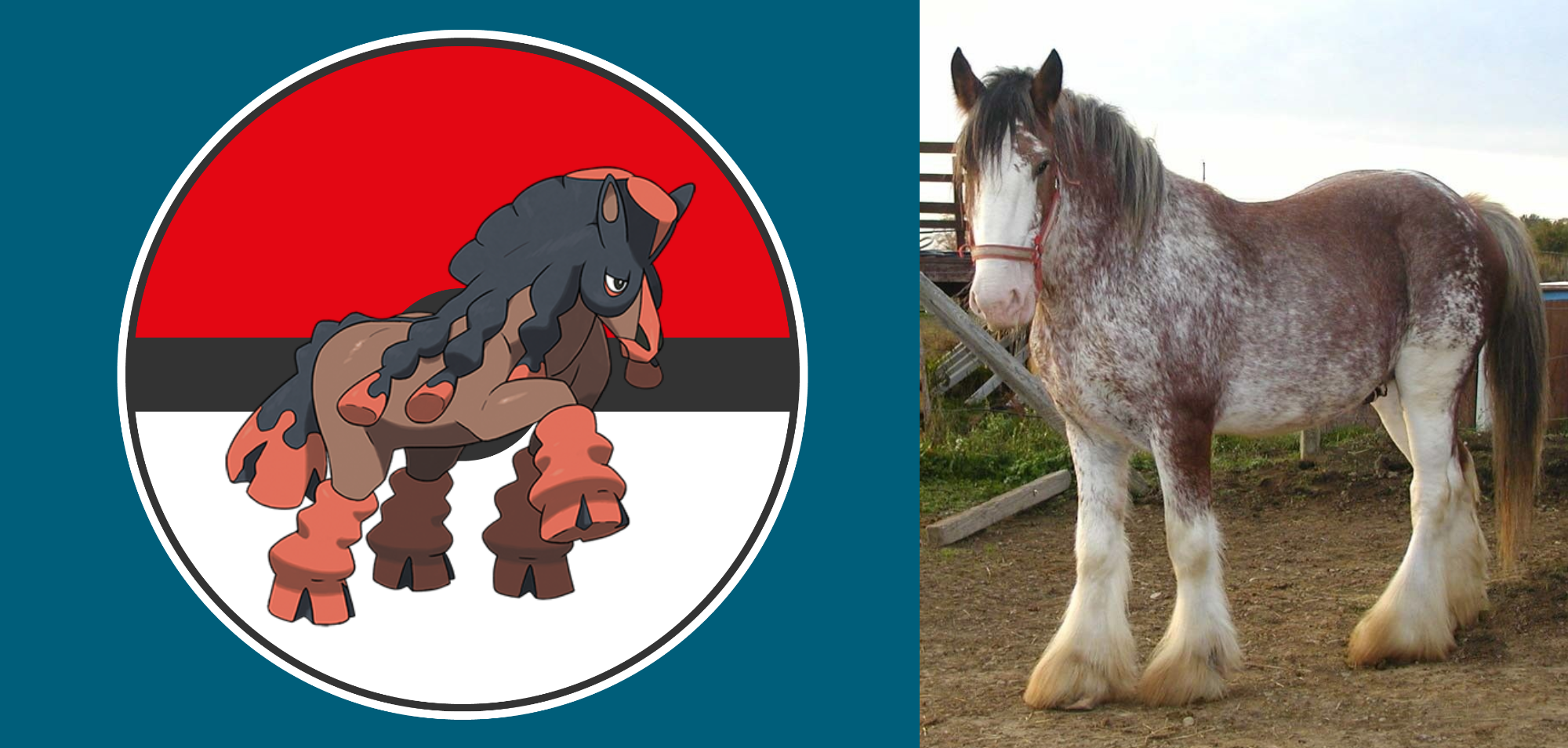 Pokemon and Animal: Mudsdale by Frylock921 on DeviantArt