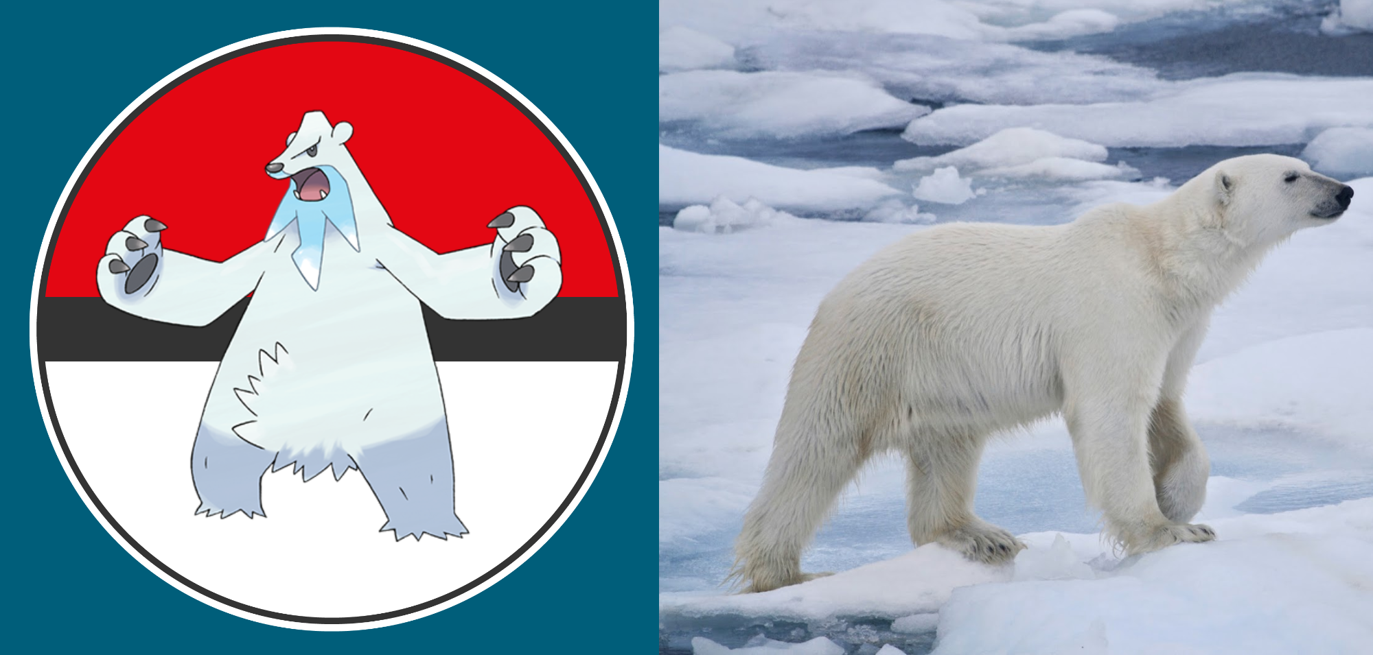 Pokemon and Animal: Beartic by Frylock921 on DeviantArt