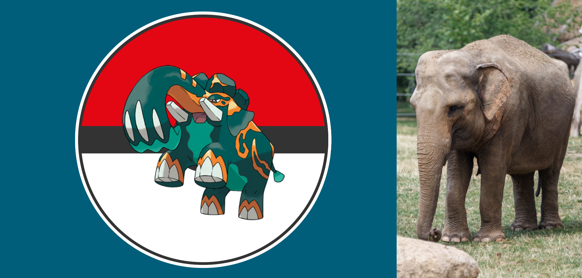 Pokemon and Animal: Copperajah by Frylock921 on DeviantArt