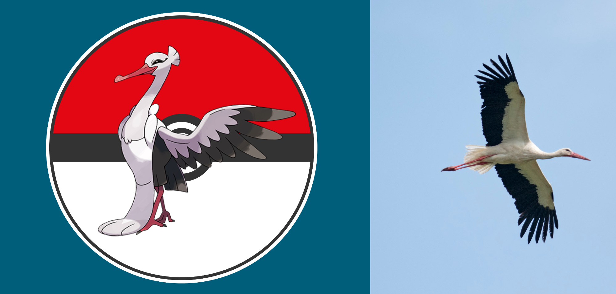 Pokemon and Animal: bombirdier by Frylock921 on DeviantArt