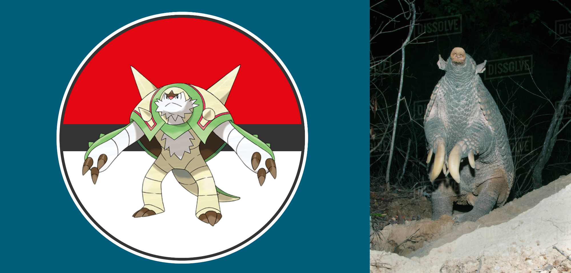 Pokemon and Animal: Chesnaught by Frylock921 on DeviantArt