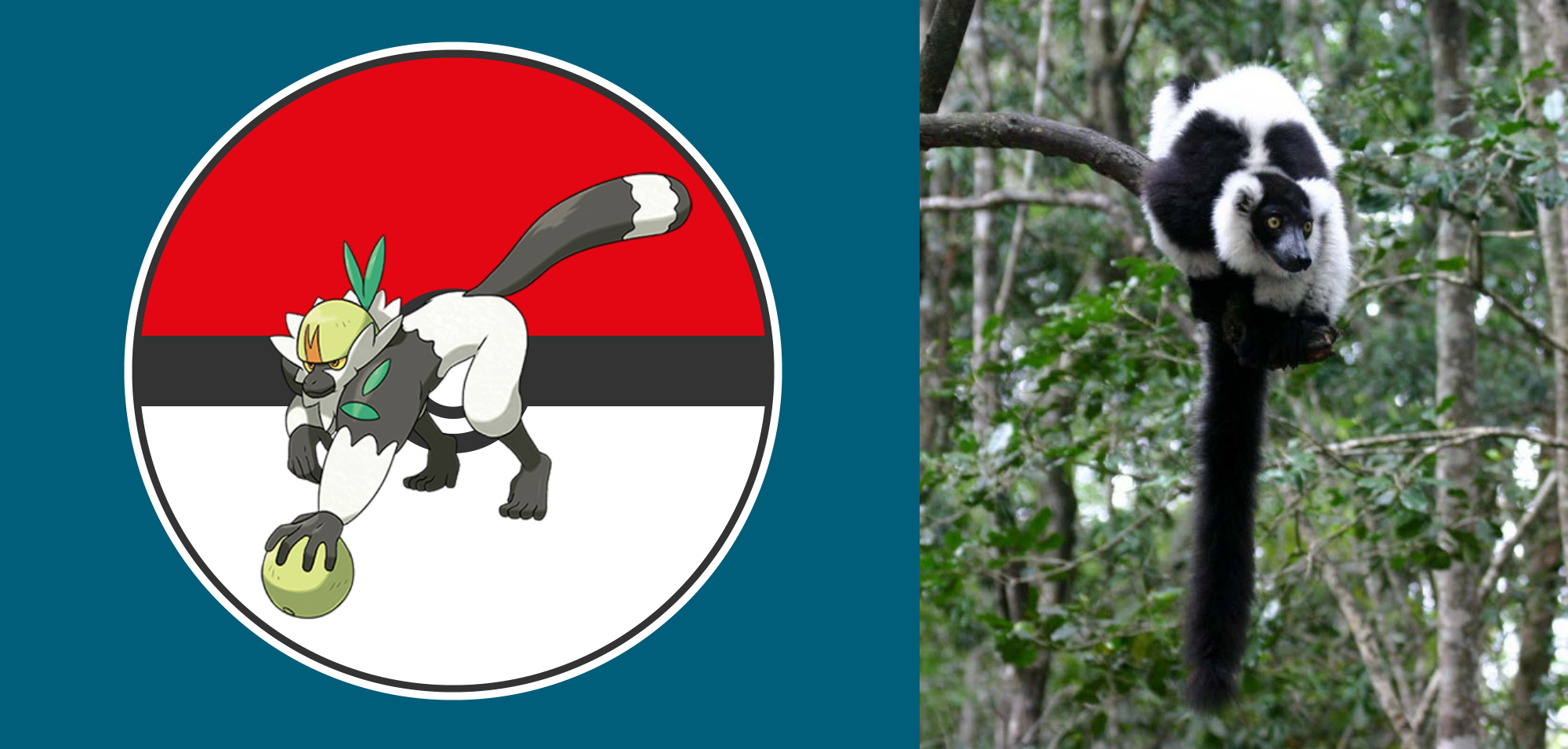 Pokemon and Animal: Passimian by Frylock921 on DeviantArt