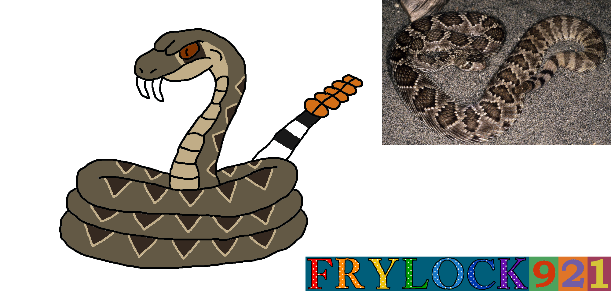 Western Diamondback Rattlesnake by Frylock921 on DeviantArt