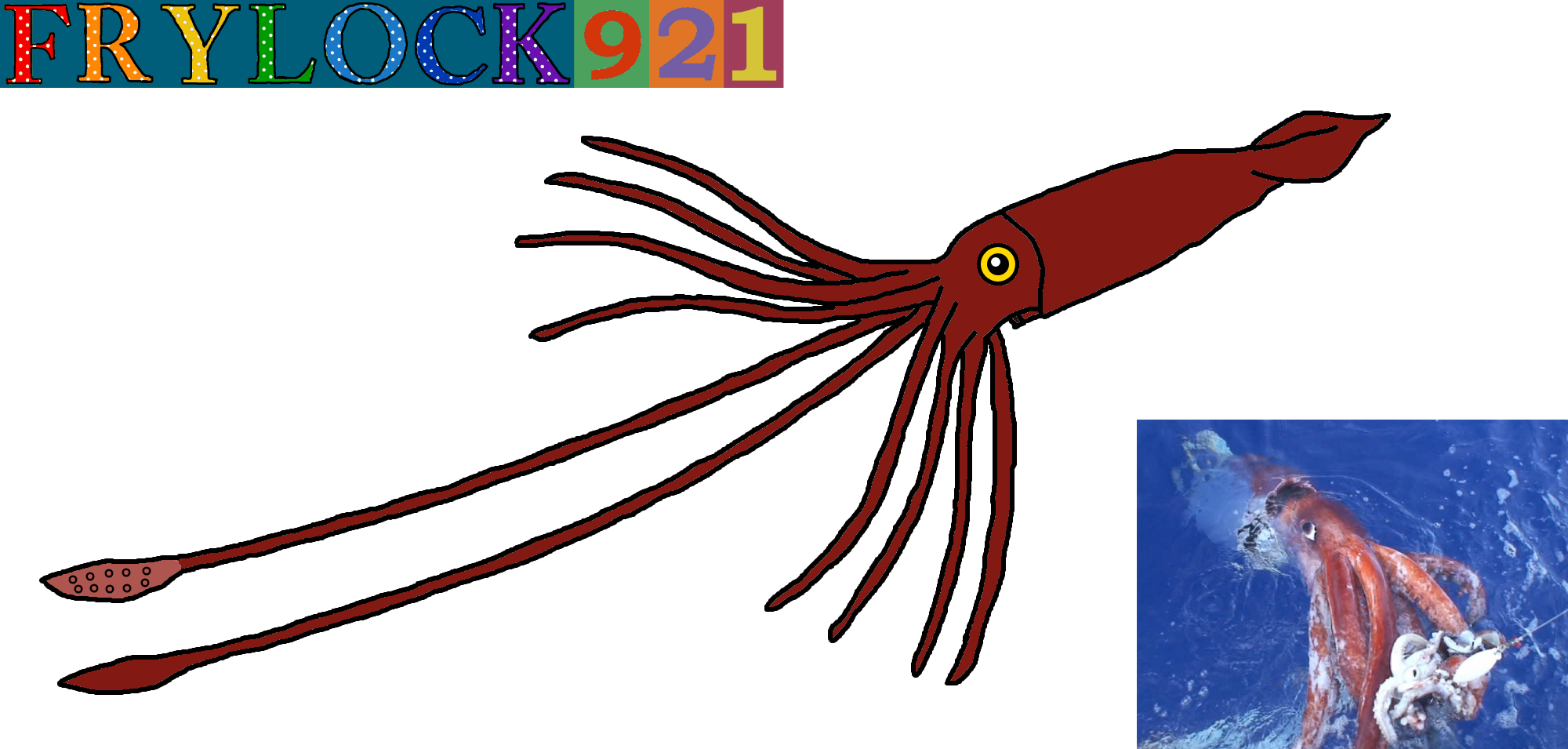 Giant Squid by Frylock921 on DeviantArt