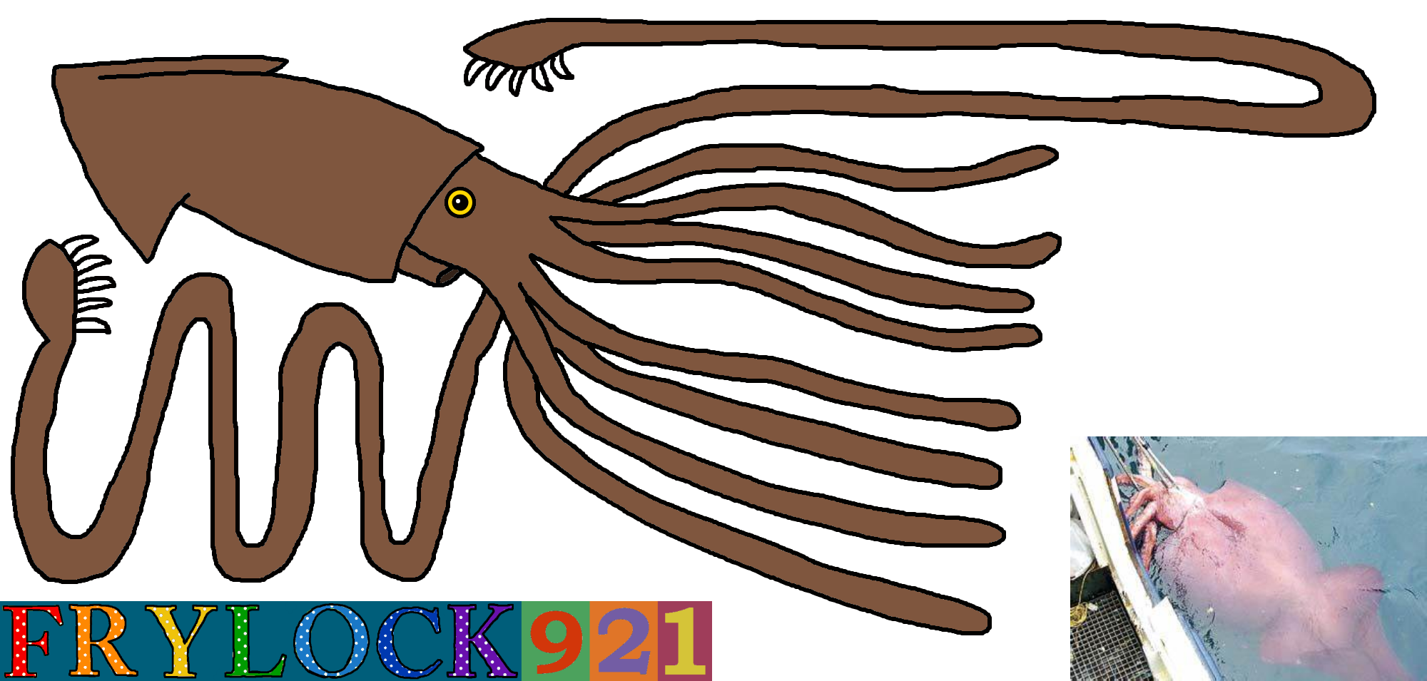Colossal Squid by Frylock921 on DeviantArt