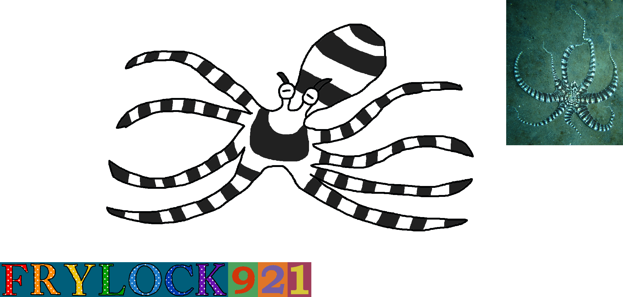 Mimic Octopus by Frylock921 on DeviantArt