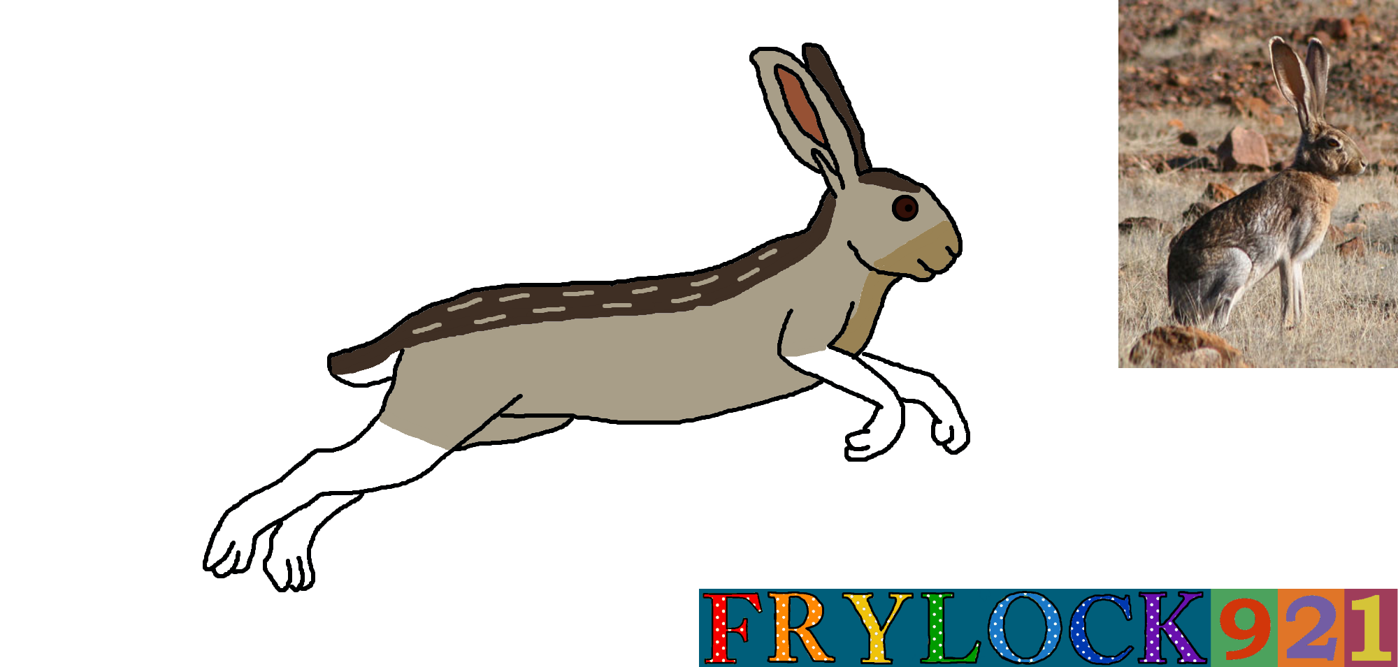 Antelope jackrabbit by Frylock921 on DeviantArt