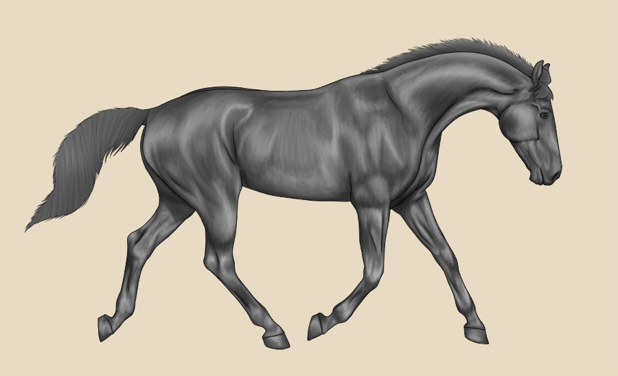 F2U horse base by Rosenhill on DeviantArt