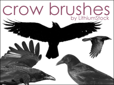 Crow Brushes I by LithiumStock on DeviantArt