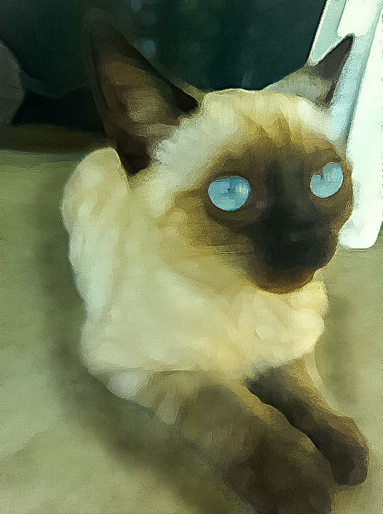 siamese by betterthanuraverage on DeviantArt