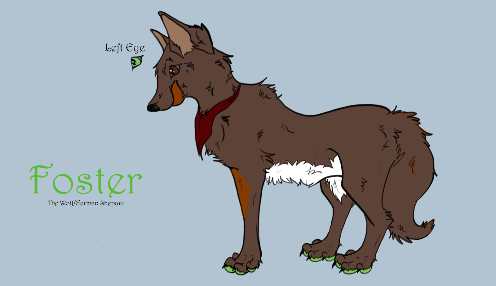 Foster Ref by ariuu on DeviantArt