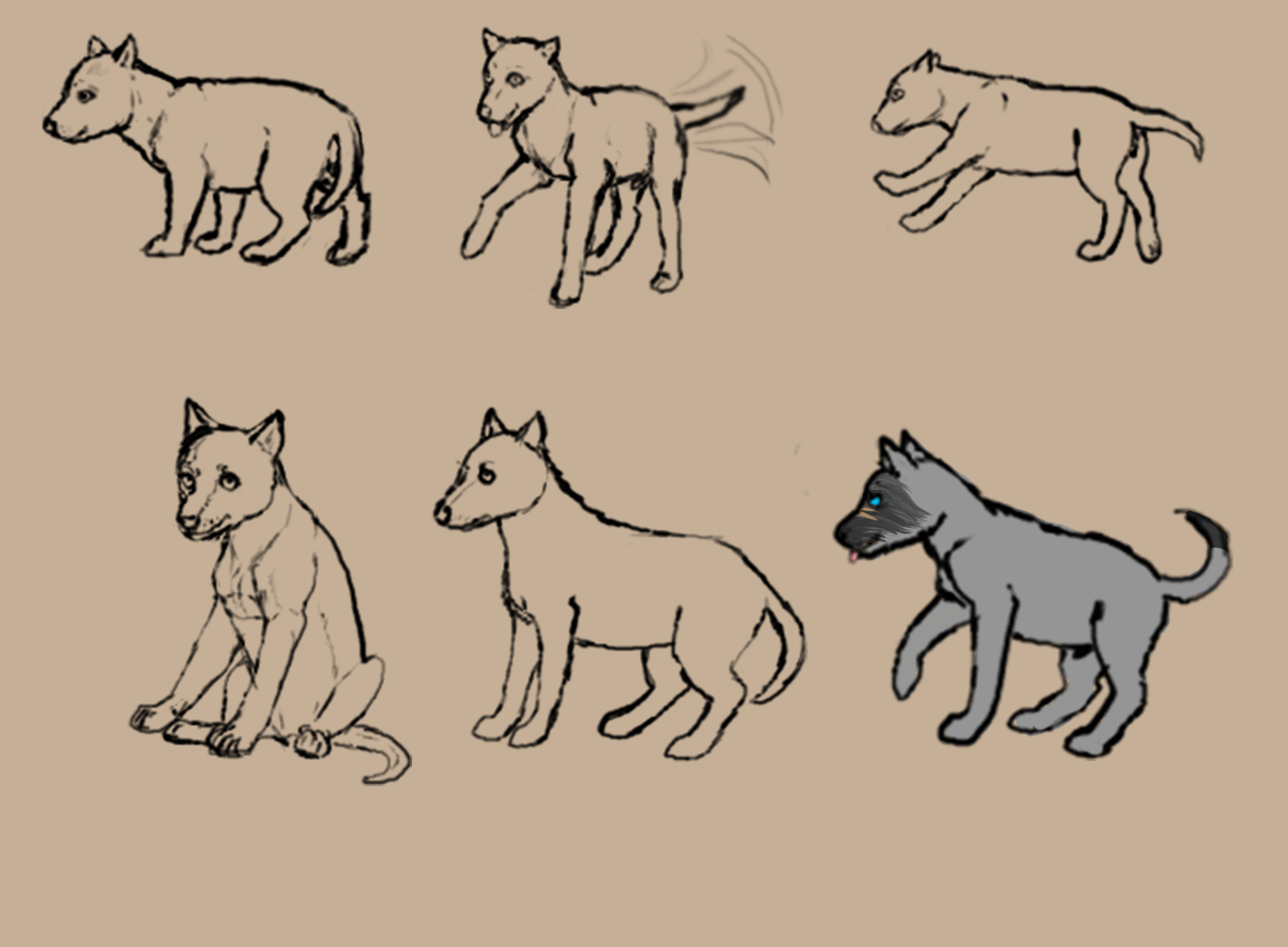 Wolf Pup Line Art by TheCalraidanKingdoms on DeviantArt