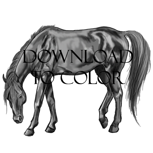 random horse grayscale by MayvezArt on DeviantArt