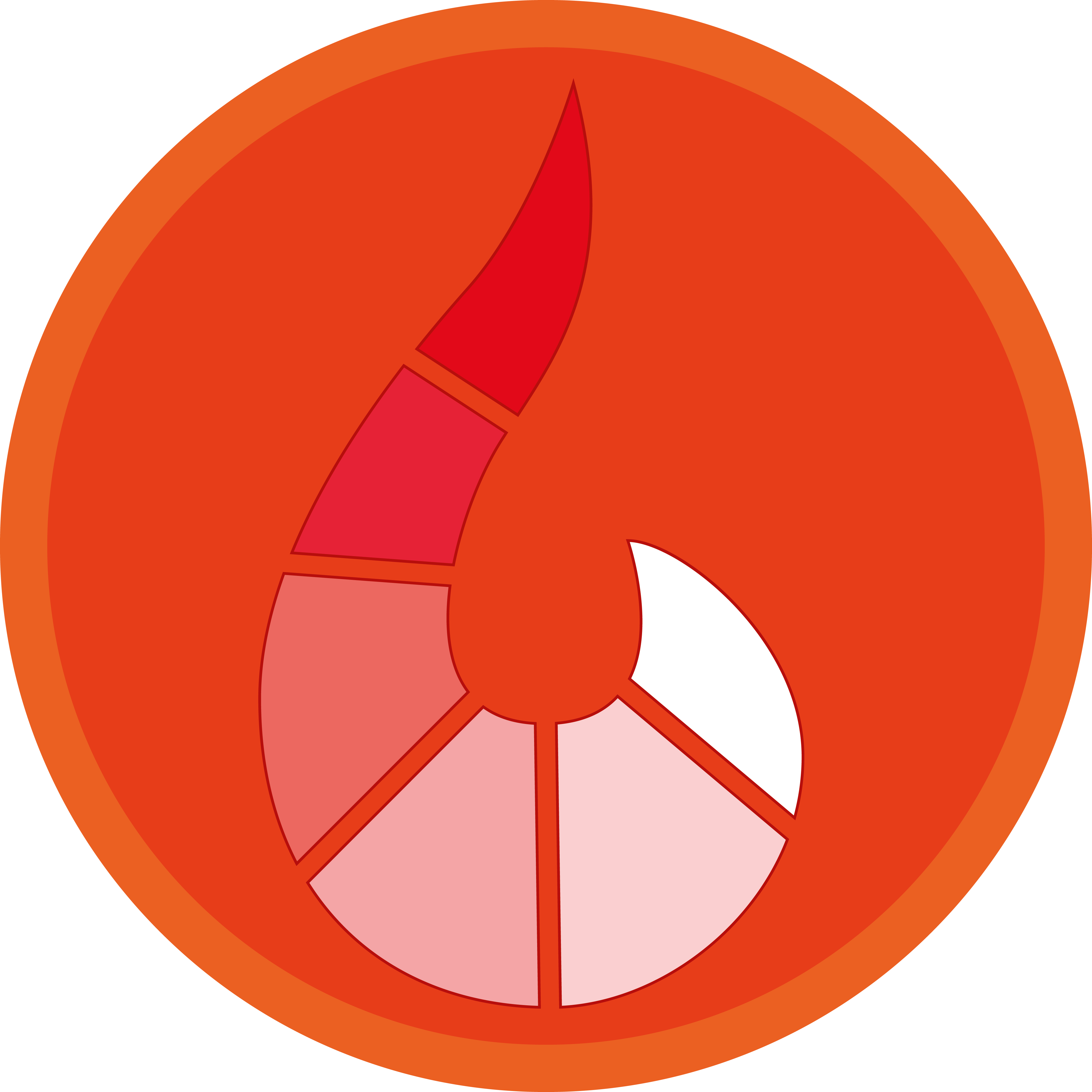 Miraculous Symbols - Fox (Vector file) by RoshMalum on DeviantArt