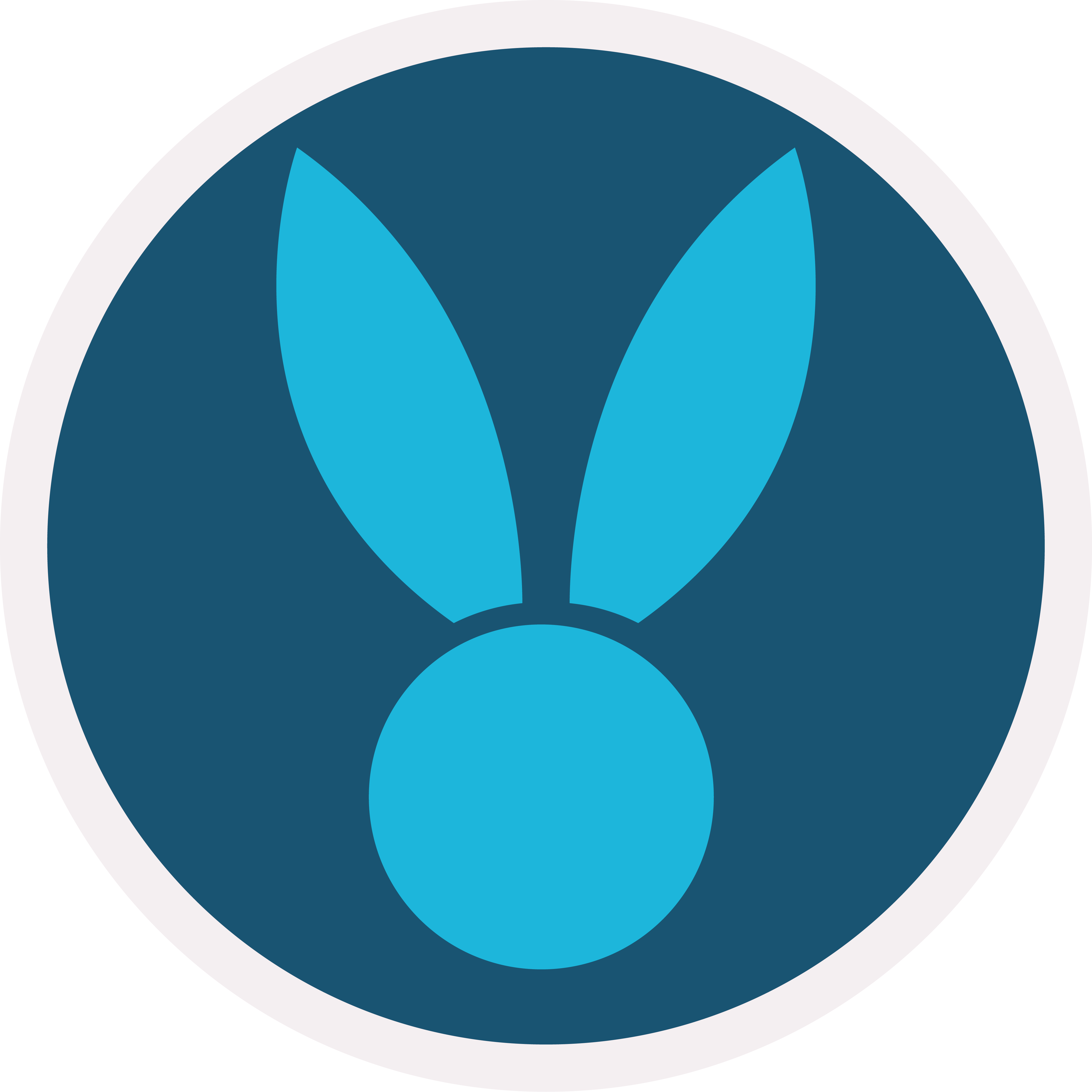 Rabbit Symbol On Clothes at Elizabeth Simson blog