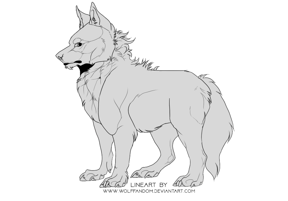 Free Wolf Lineart and Base by Kairyos on DeviantArt