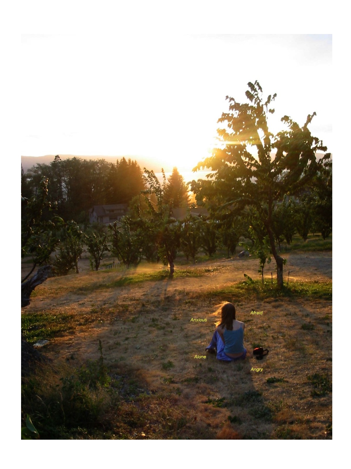 The wind blows backward by Arrowz on DeviantArt