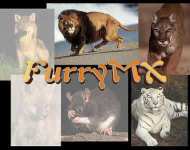 Furry MX by Rynson on DeviantArt