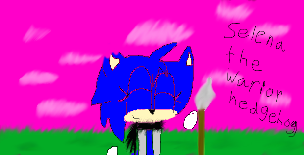 Selena The Hedgehog by AlUkissKisEliVinHoSo on DeviantArt