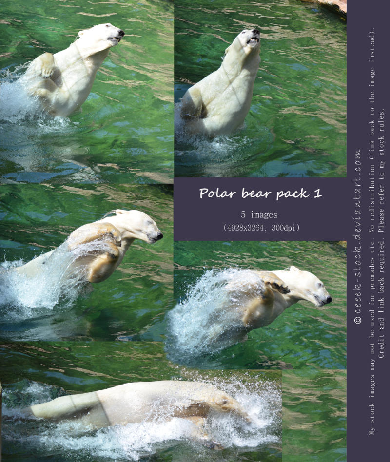 Polar bear pack 1 by ceeek-stock on DeviantArt