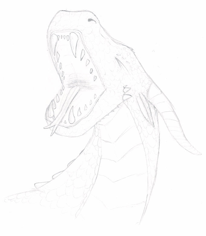 Yawning Dragon by TRFlyingserpent on DeviantArt
