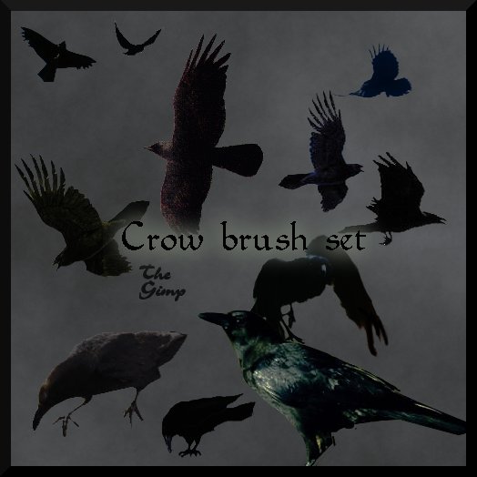 Crow and Raven brush set by faerykisses on DeviantArt