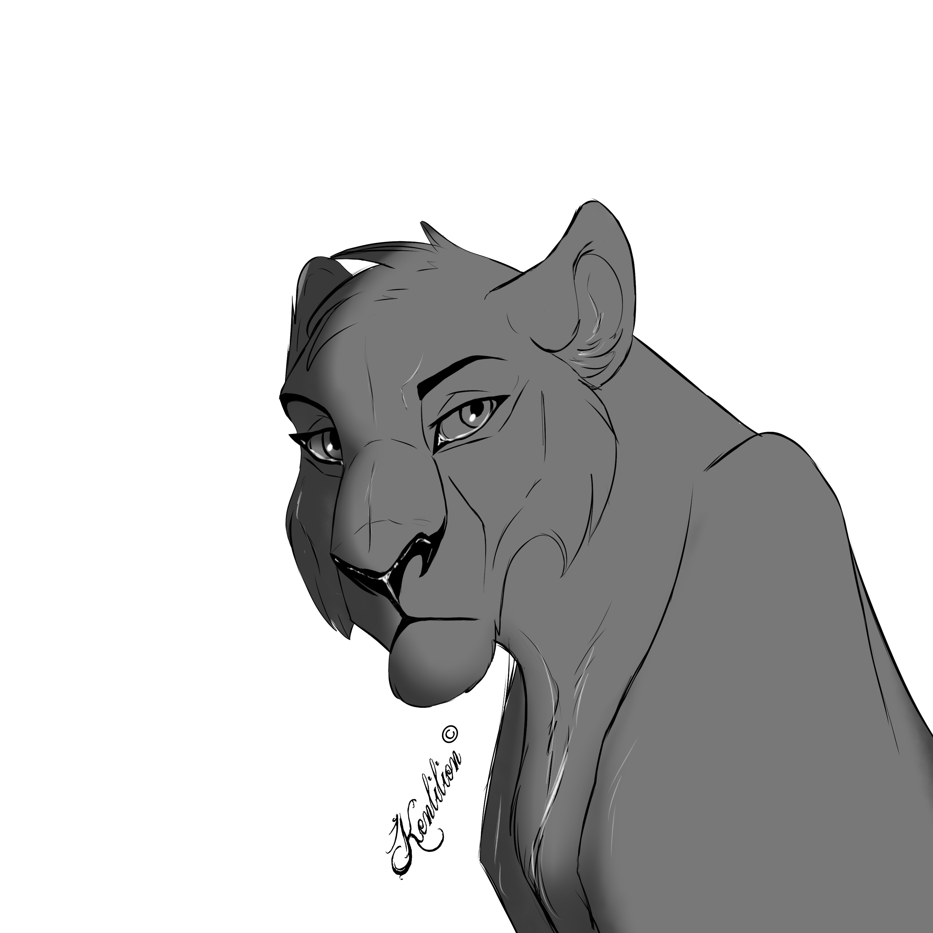 Lioness Linearts Free by Kenlilion on DeviantArt