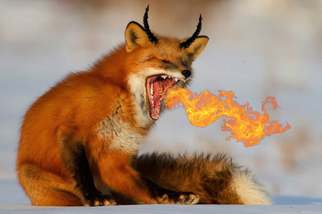 Fire Breathing Fox by ShySkyRobin on DeviantArt