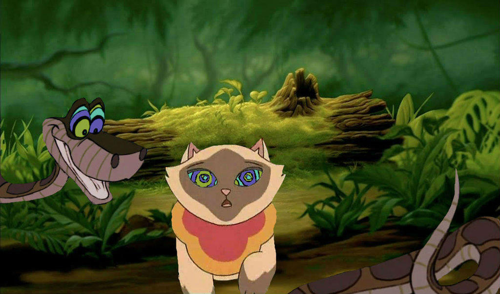 Kaa's China Adventure- 4 matt0044 by PinkWarrior30 on DeviantArt