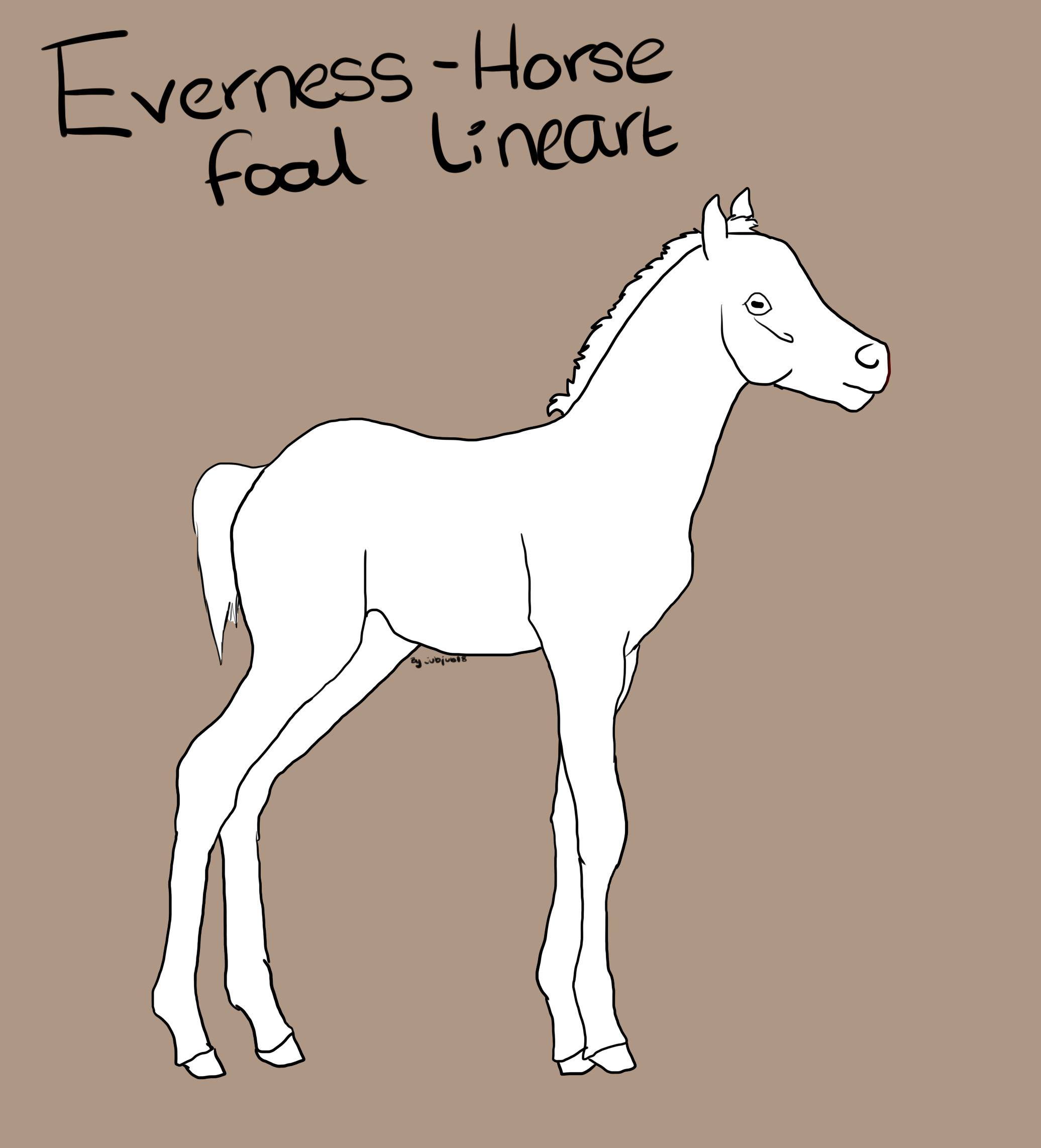 Everness-Horse Foal Lines by jubjub18 on DeviantArt